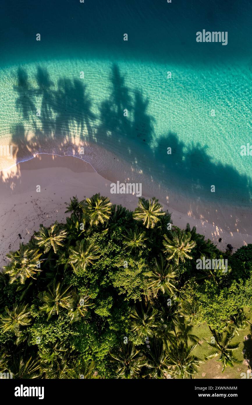 Aerial view of palm trees on a tropical beach, Samaleko island (Pulau ...