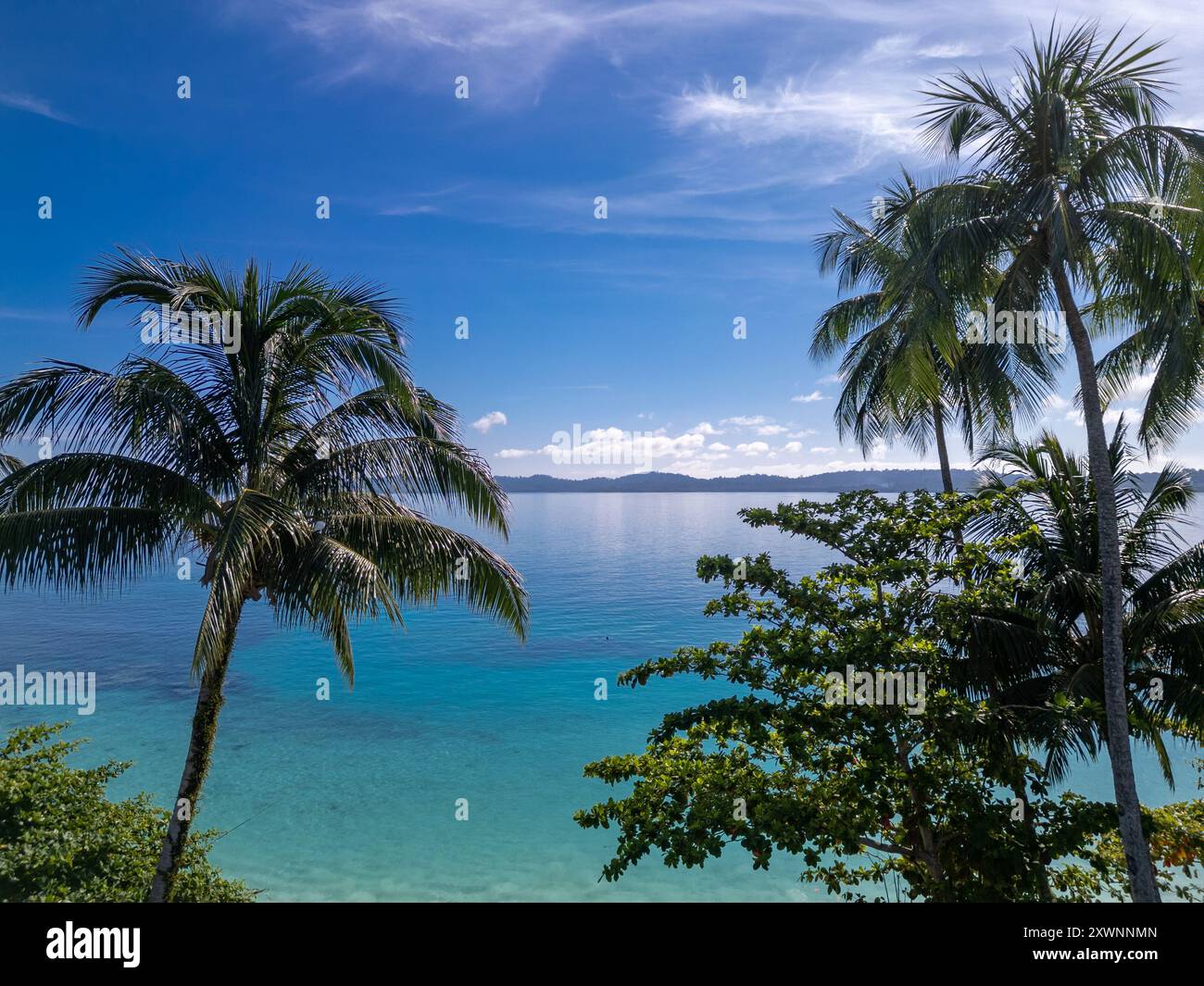 Palm trees on a tropical beach, Samaleko island (Pulau Samaleko), North ...