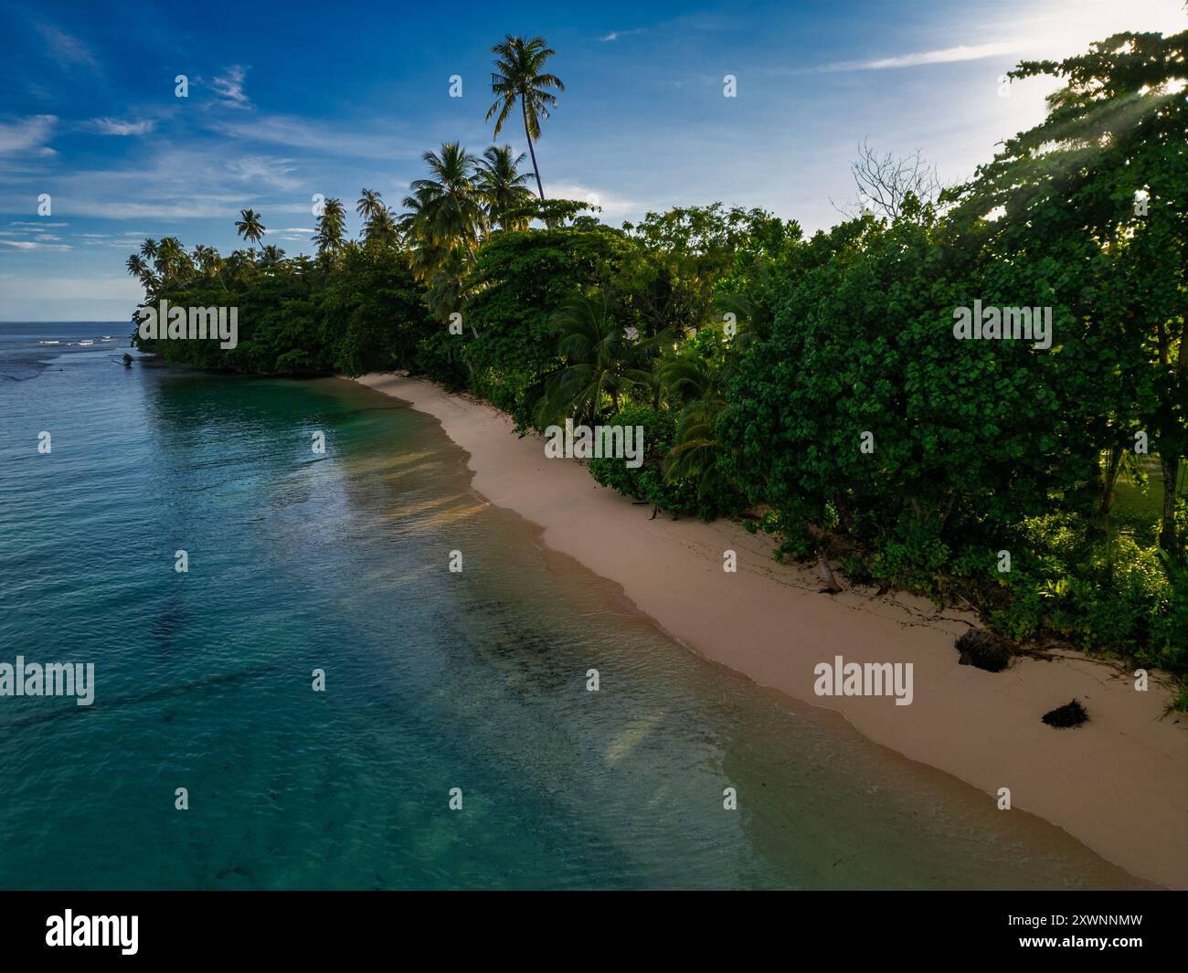 Palm trees on a tropical beach, Samaleko island (Pulau Samaleko), North ...