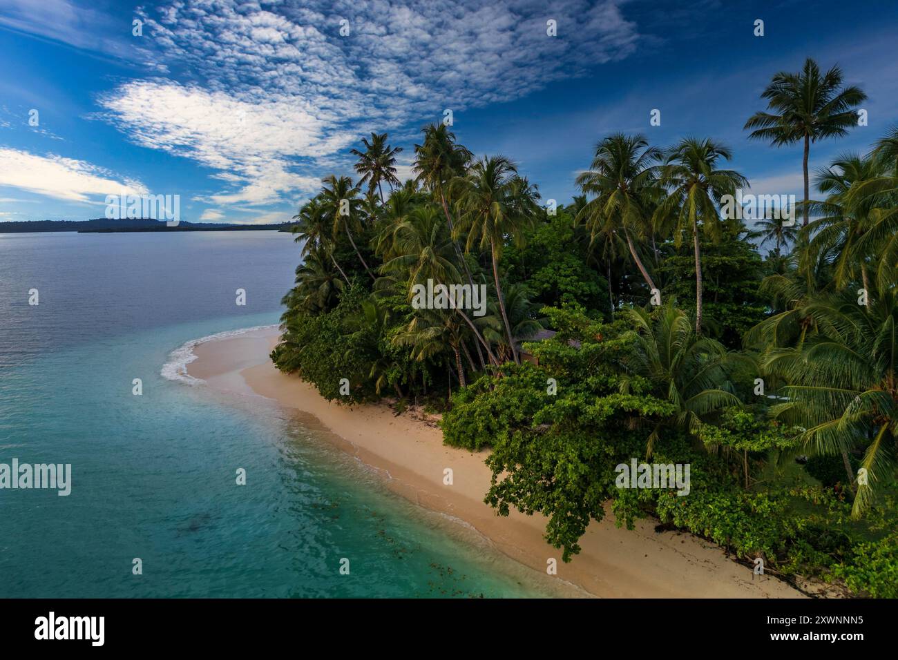 Palm trees on a tropical beach, Samaleko island (Pulau Samaleko), North ...