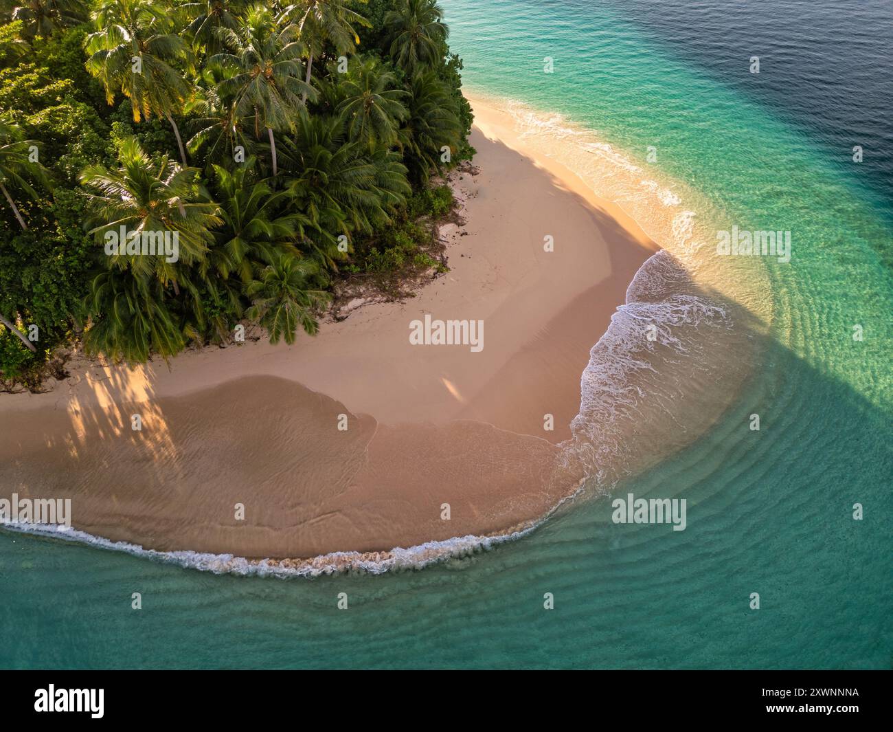 Aerial view of palm trees on a tropical beach and turquoise waters ...