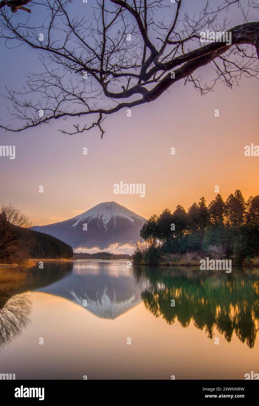 Mt fuji reflected in Lake Tanuki at sunrise, Fujinomiya, Hakone-Izu ...