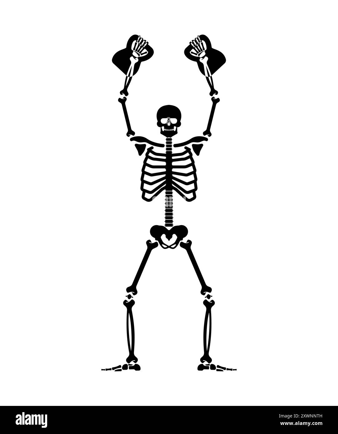 Strong bones Stock Vector Images - Alamy