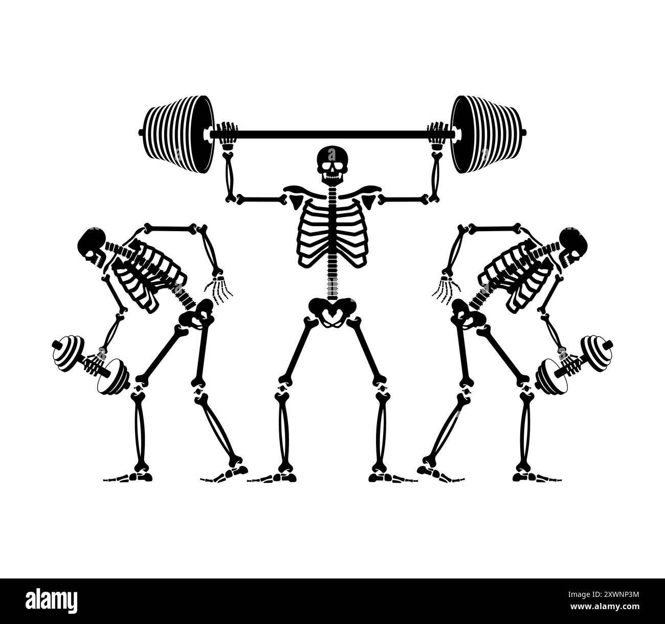 Skeleton and dumbbell. Skeletons and barbell and kettlebell. Skull and ...
