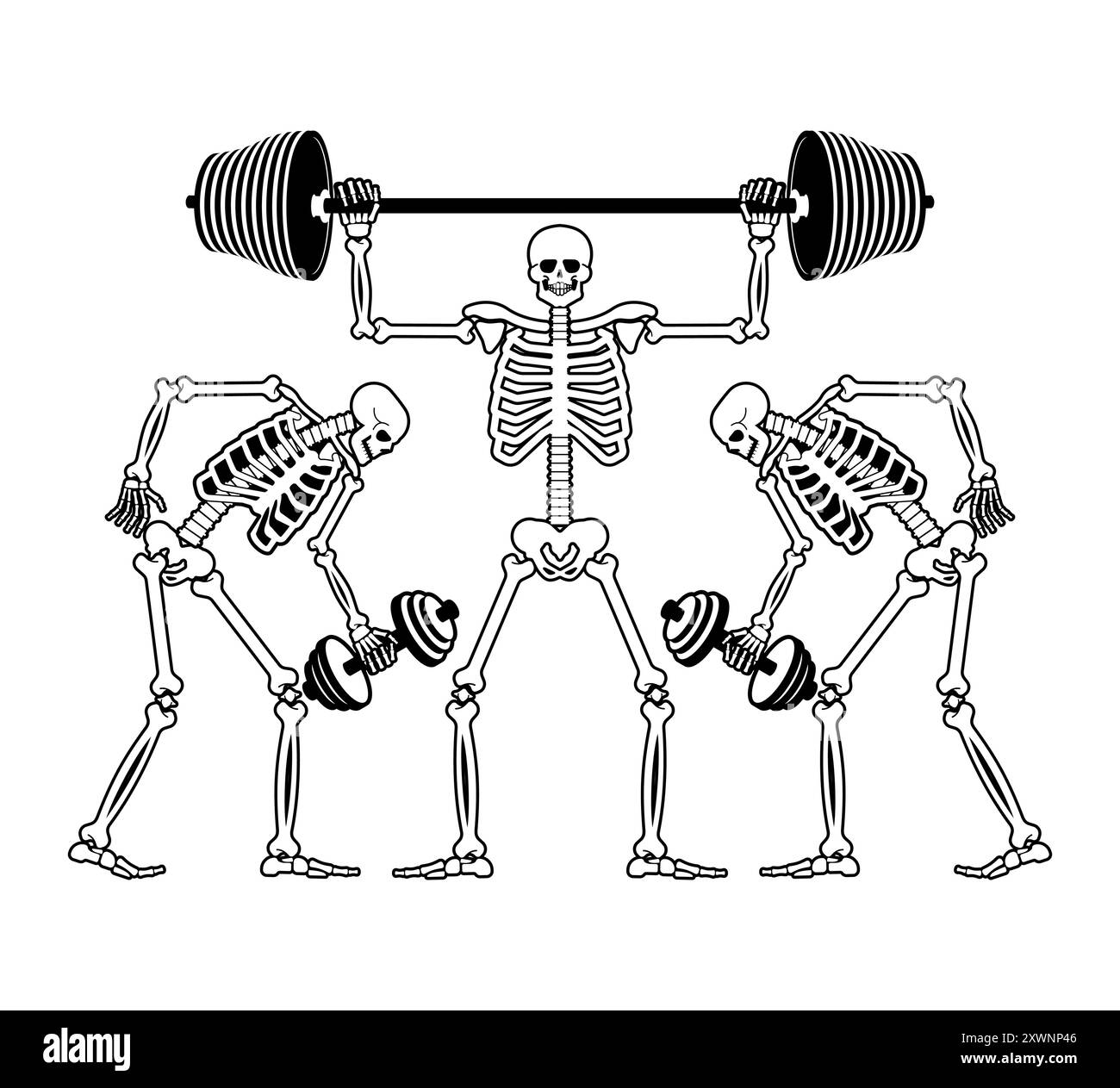 Skeleton and dumbbell. Skeletons and barbell and kettlebell. Skull and ...