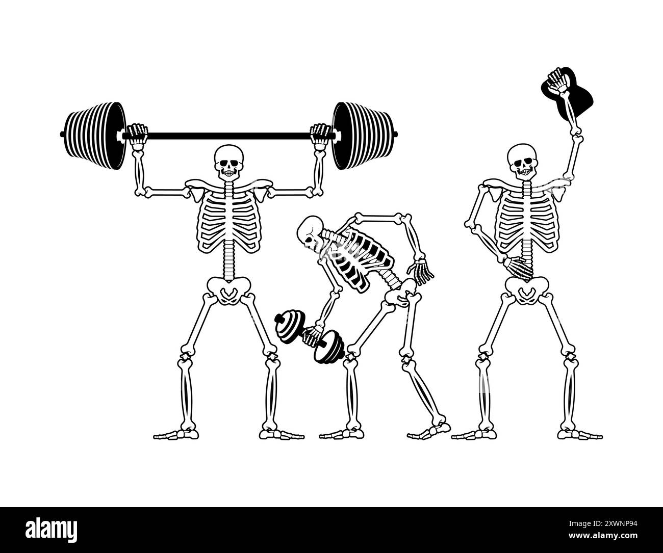 Skeleton and dumbbell. Skeletons and barbell and kettlebell. Skull and ...