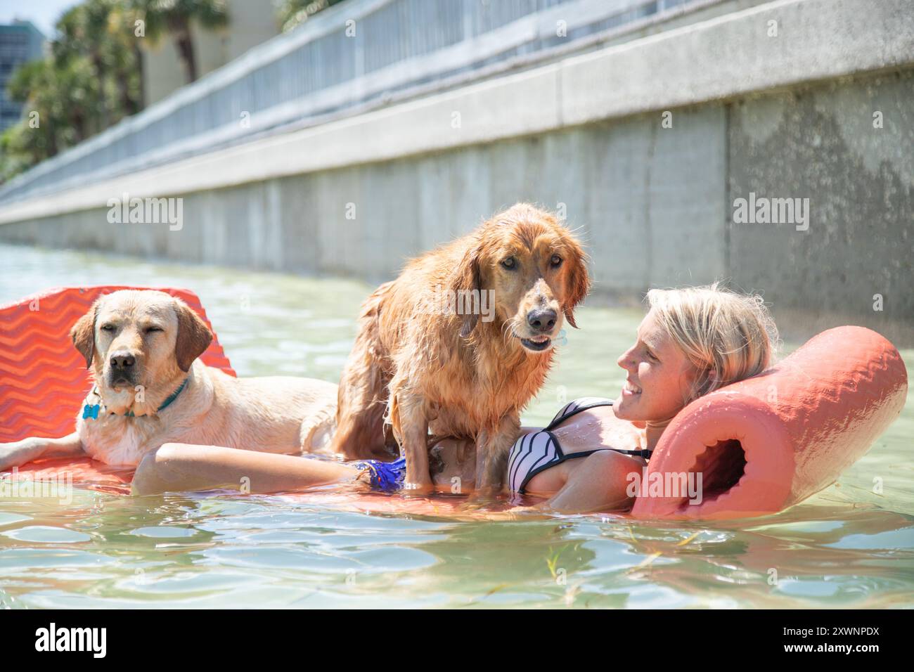 Woman lying on a lilo in the ocean with two dogs, Florida, USA Stock ...
