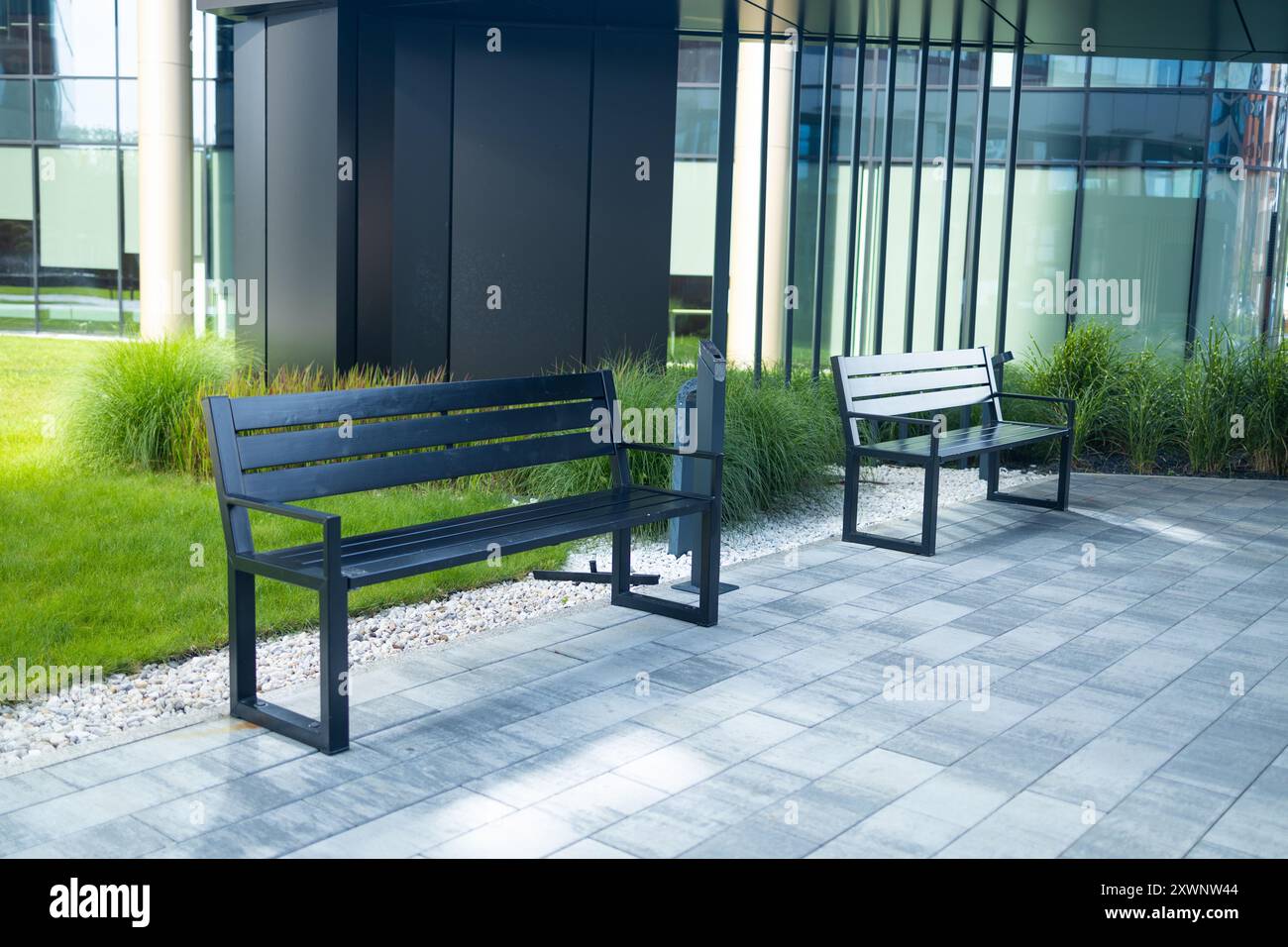 Perspective view of paved path with green lawn, decorative grass and ...