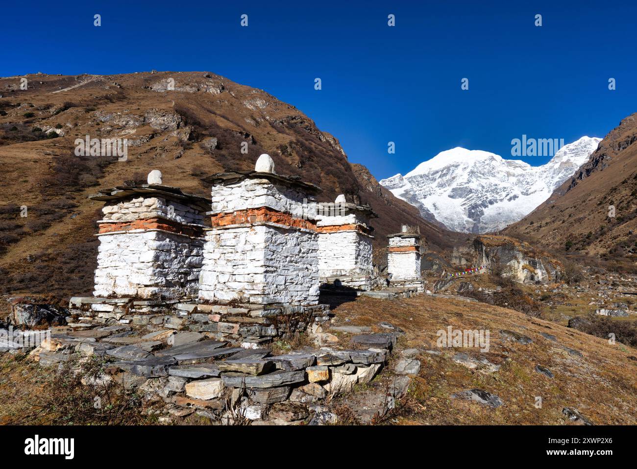 Chortens with Mt Jomolhari mountain in the distance, Jigme Dorji ...