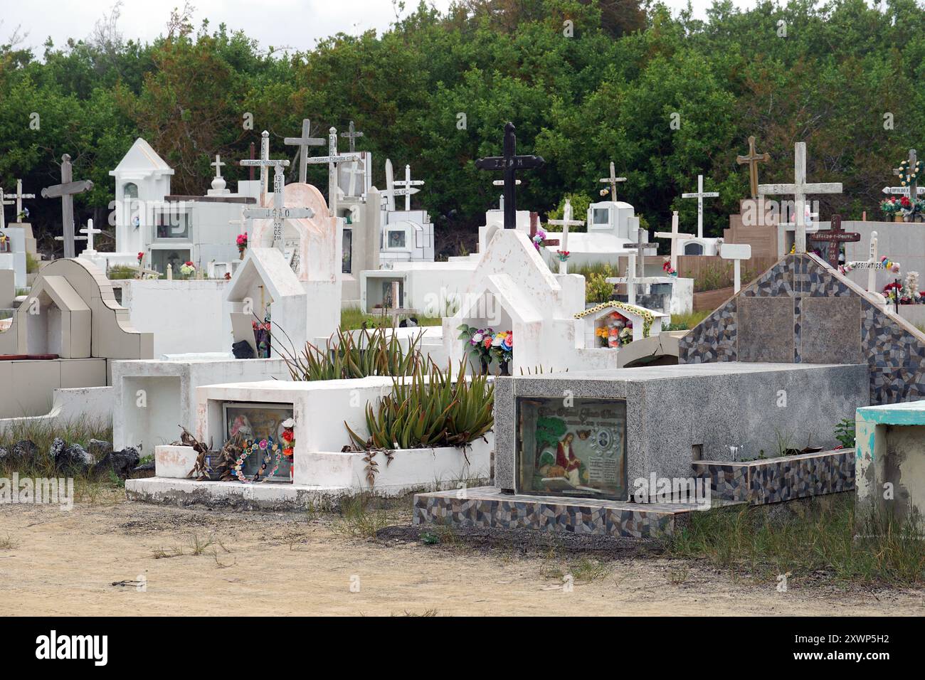 Isabela Cemetery, Isabela Island, Galápagos, Ecuador, South America ...
