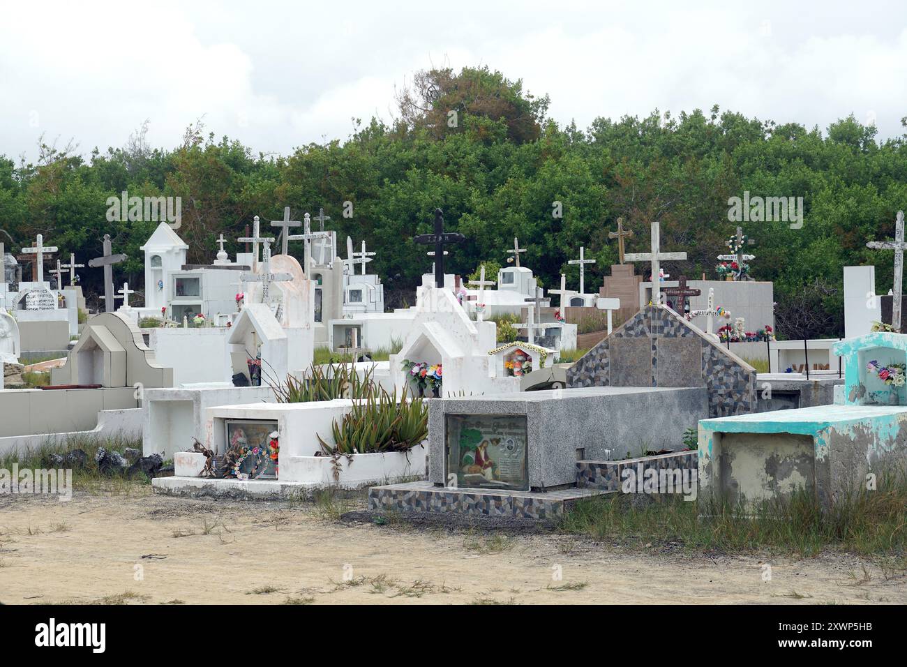 Isabela Cemetery, Isabela Island, Galápagos, Ecuador, South America ...