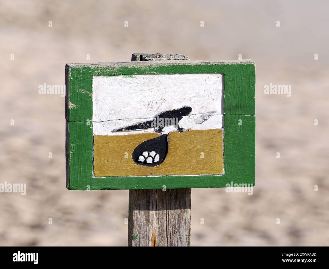 nesting area, egg laying place sign, Puerto Villamil village, Isabela ...