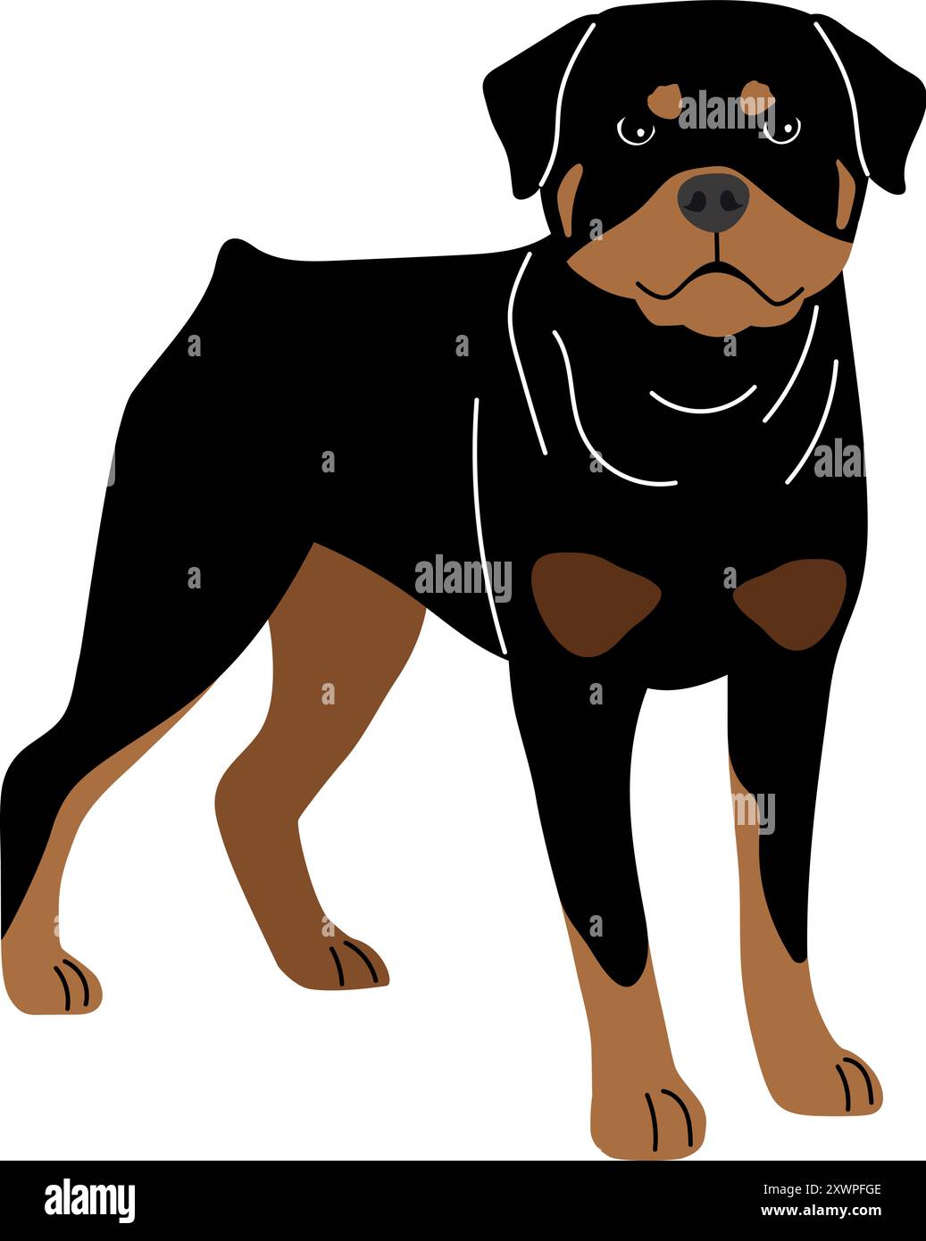Black brown rottweiler dog Stock Vector Images - Alamy