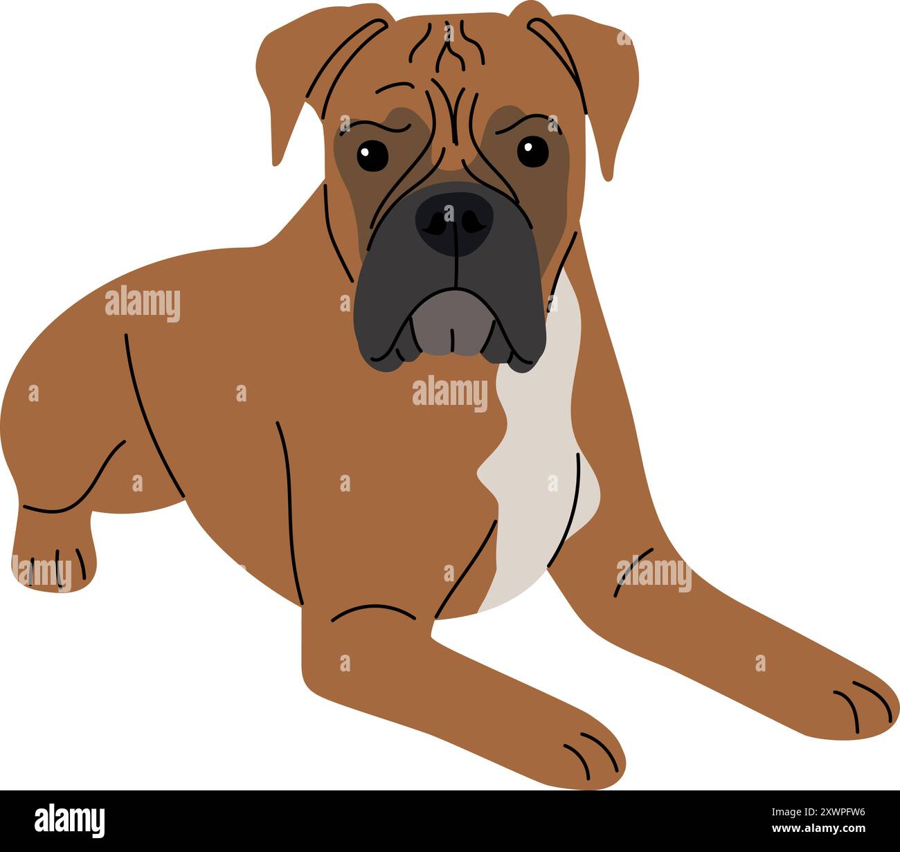 Boxer breed dog lying on a white background authors work Stock Vector ...
