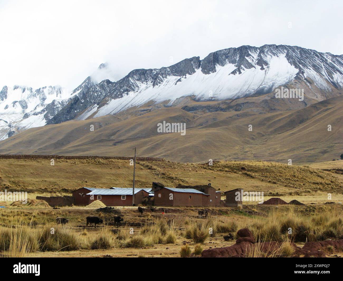 Peaks of La Raya mountain range near Layo, Peru Stock Photo - Alamy