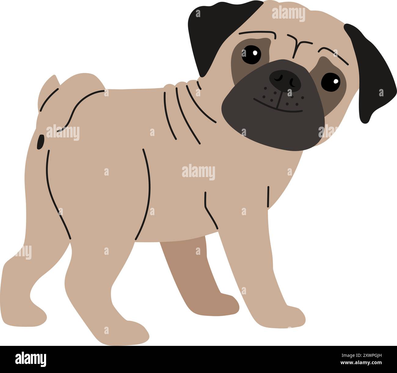 Pug breed dog authors work Stock Vector Image & Art - Alamy