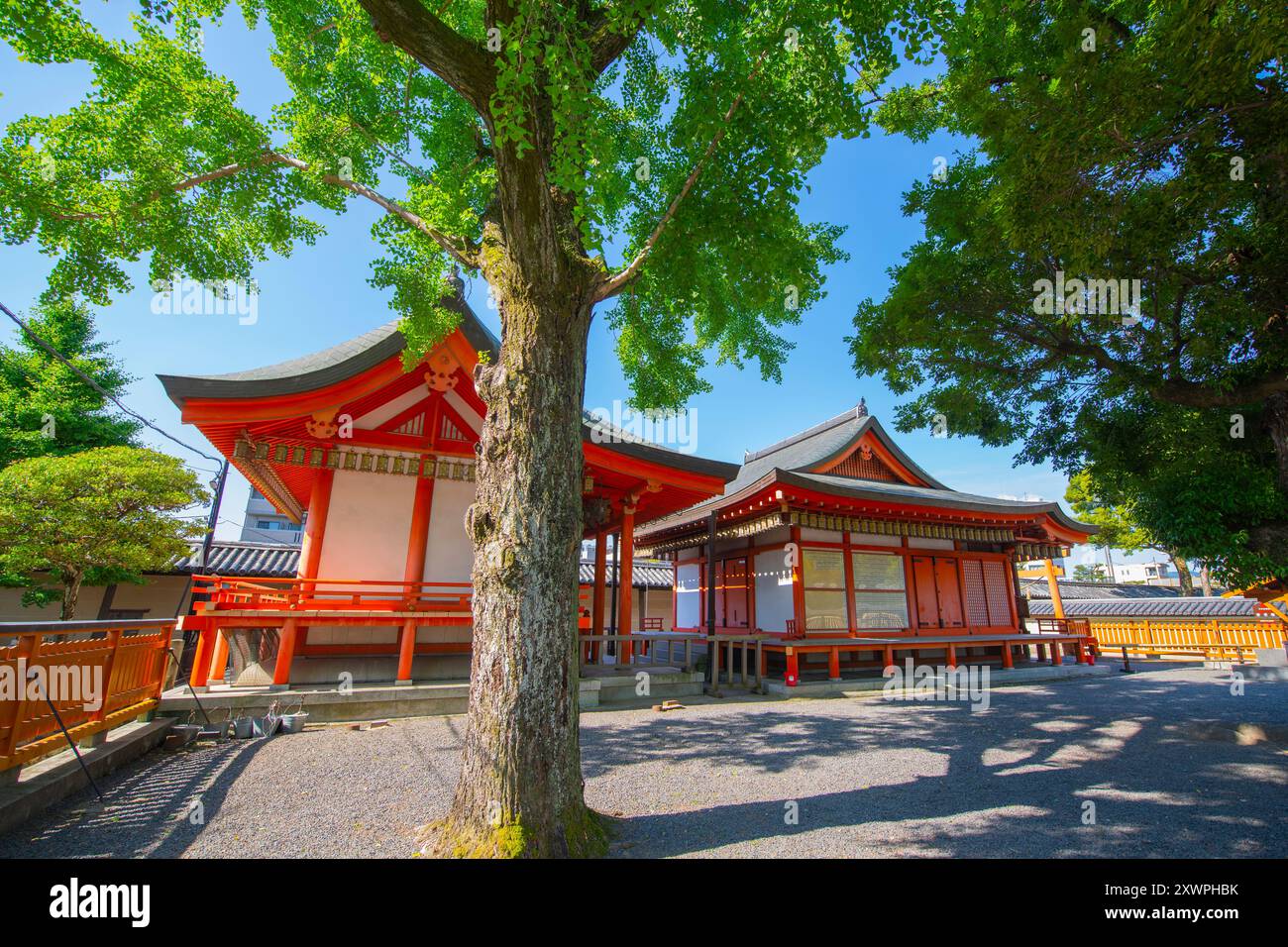 Kanjoin Hall in To-Ji Temple. To Ji East Temple is a Shingon Buddhist ...