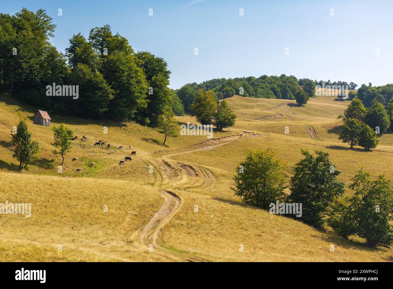 Up slope hill uphill hi-res stock photography and images - Alamy