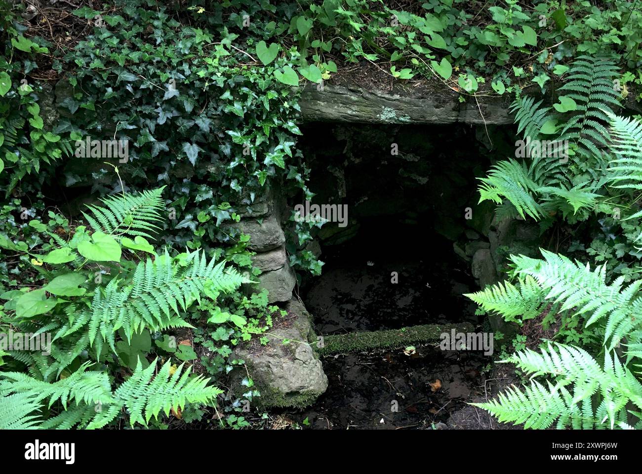 Wales ffynnon fair hi-res stock photography and images - Alamy