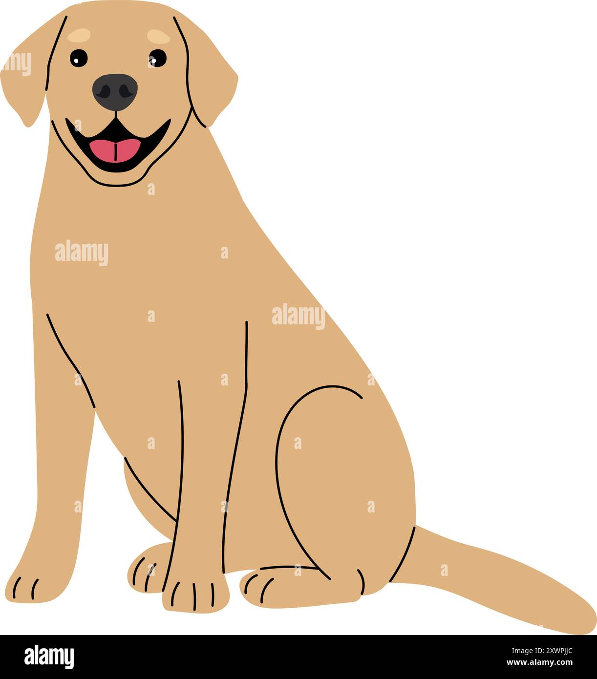 Portrait brown labrador retriever Stock Vector Images - Alamy