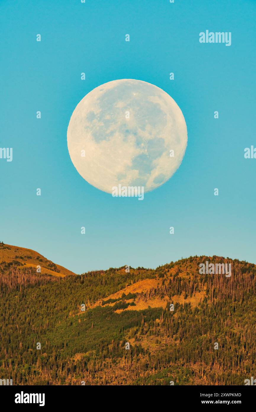 Full moon setting at sunrise over Rocky Mountains; Salida; Colorado ...