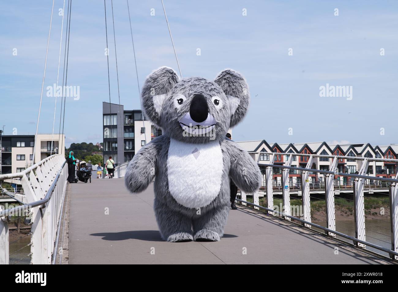Big happy koala bear hi-res stock photography and images - Alamy