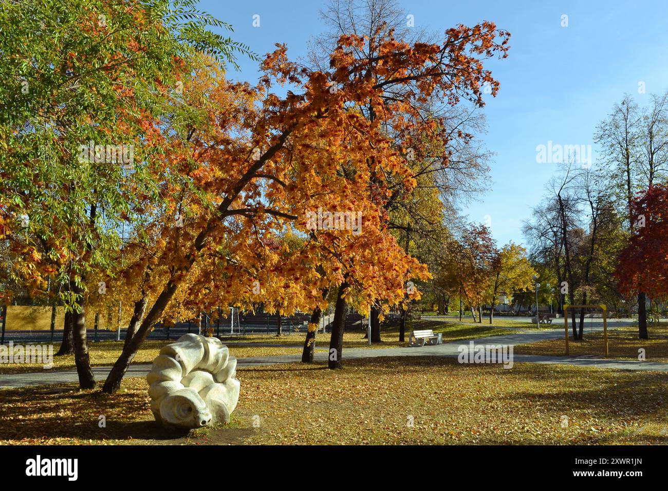 A bent tree and sculpture of a creature in an fall park. Autumn ...