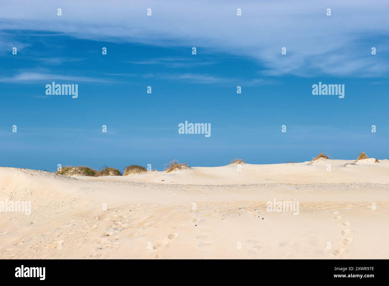Sparse landscape seen in Cape Hatteras National Seashore in Outer Banks ...