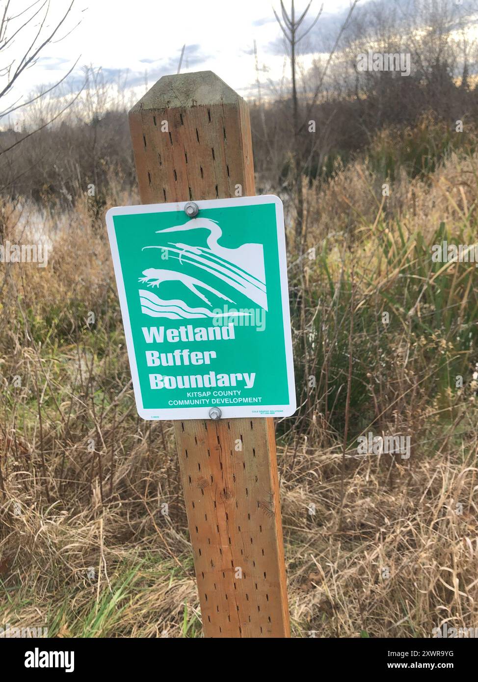 Algae plantae hi-res stock photography and images - Alamy