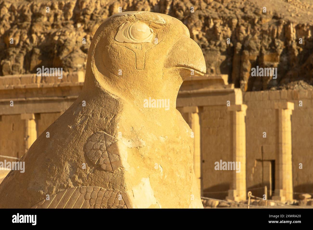 The falcon-headed god Horus guards the tomb of Queen Hatshepsut, and ...