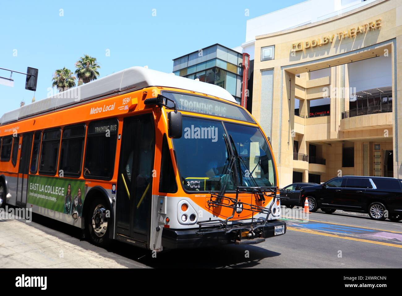 Hollywood (Los Angeles), California: METRO local Bus on Hollywood Blvd ...