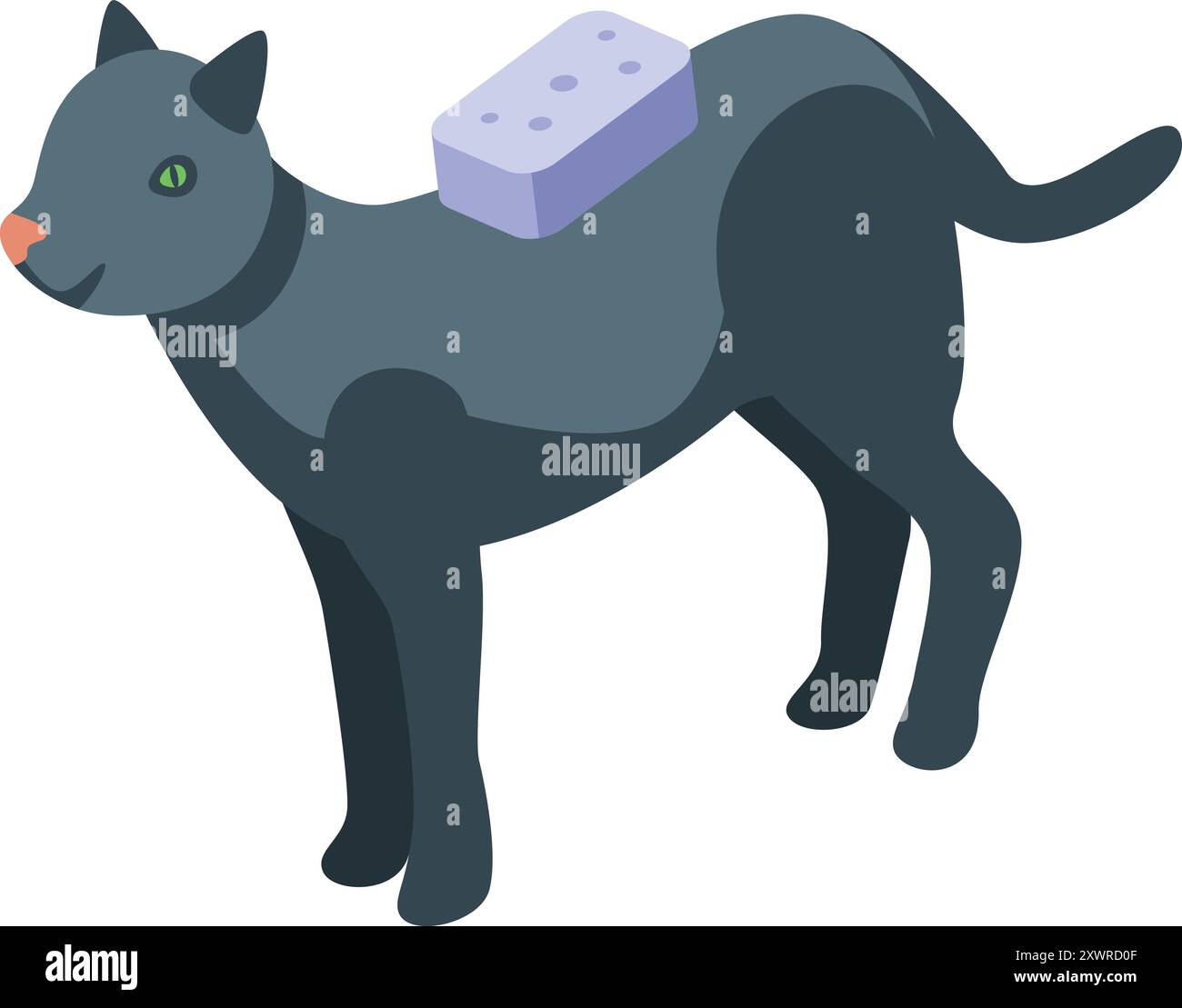 Isometric illustration of a black cat carrying a sponge on its back ...