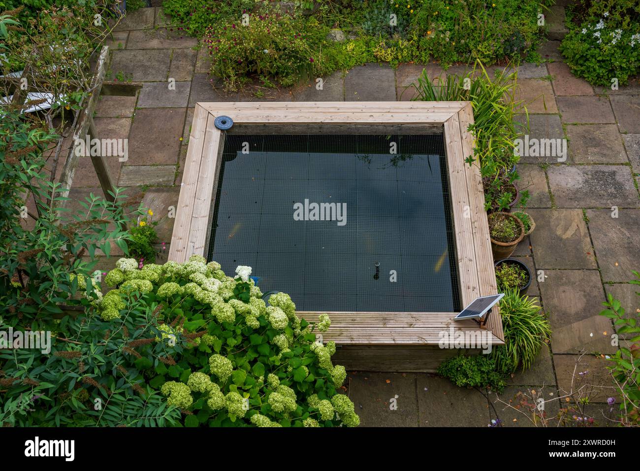 Aerial view of a serene garden pond with surrounding lush greenery and ...
