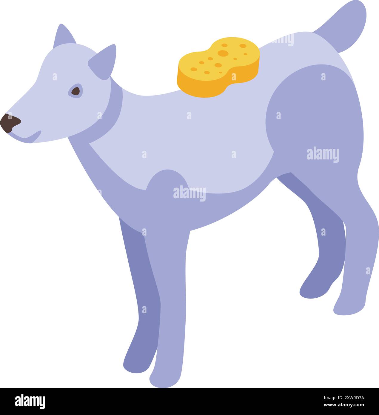 Dog standing with sponge on its back, taking a bath after a walk Stock ... Dog standing with sponge on its back, taking a bath after a walk Stock ...