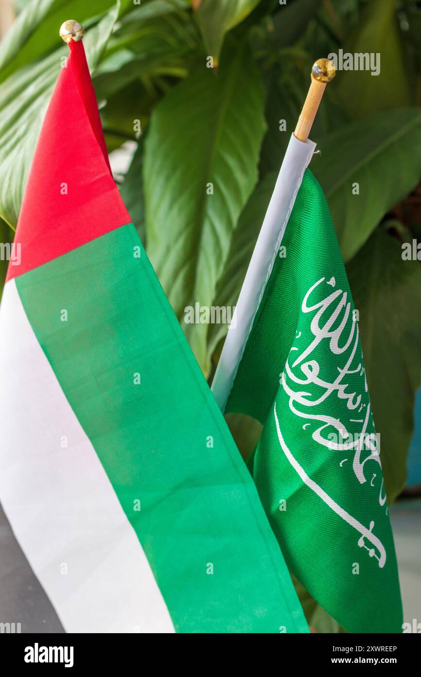 Mini hand held flags of Saudi Arabia and United Arab Emirates Stock ...