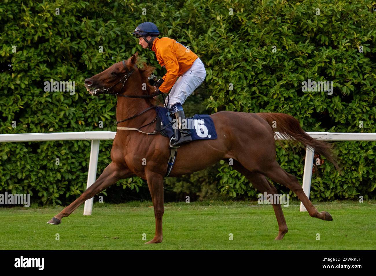 Windsor, Berkshire, UK. 19th August, 2024. NORDIC GLORY ridden by ...