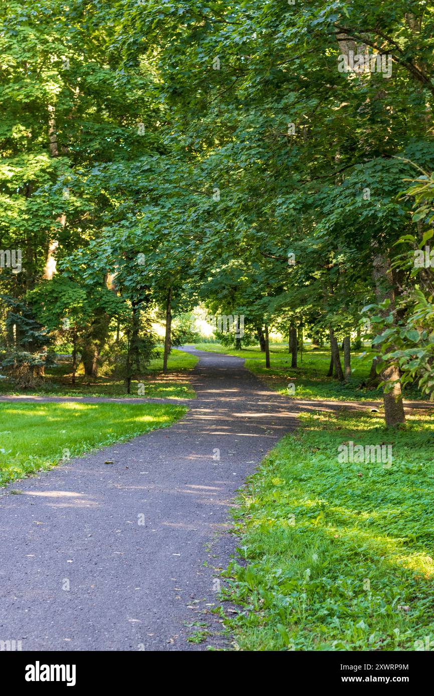 Shot alley in park hi-res stock photography and images - Alamy