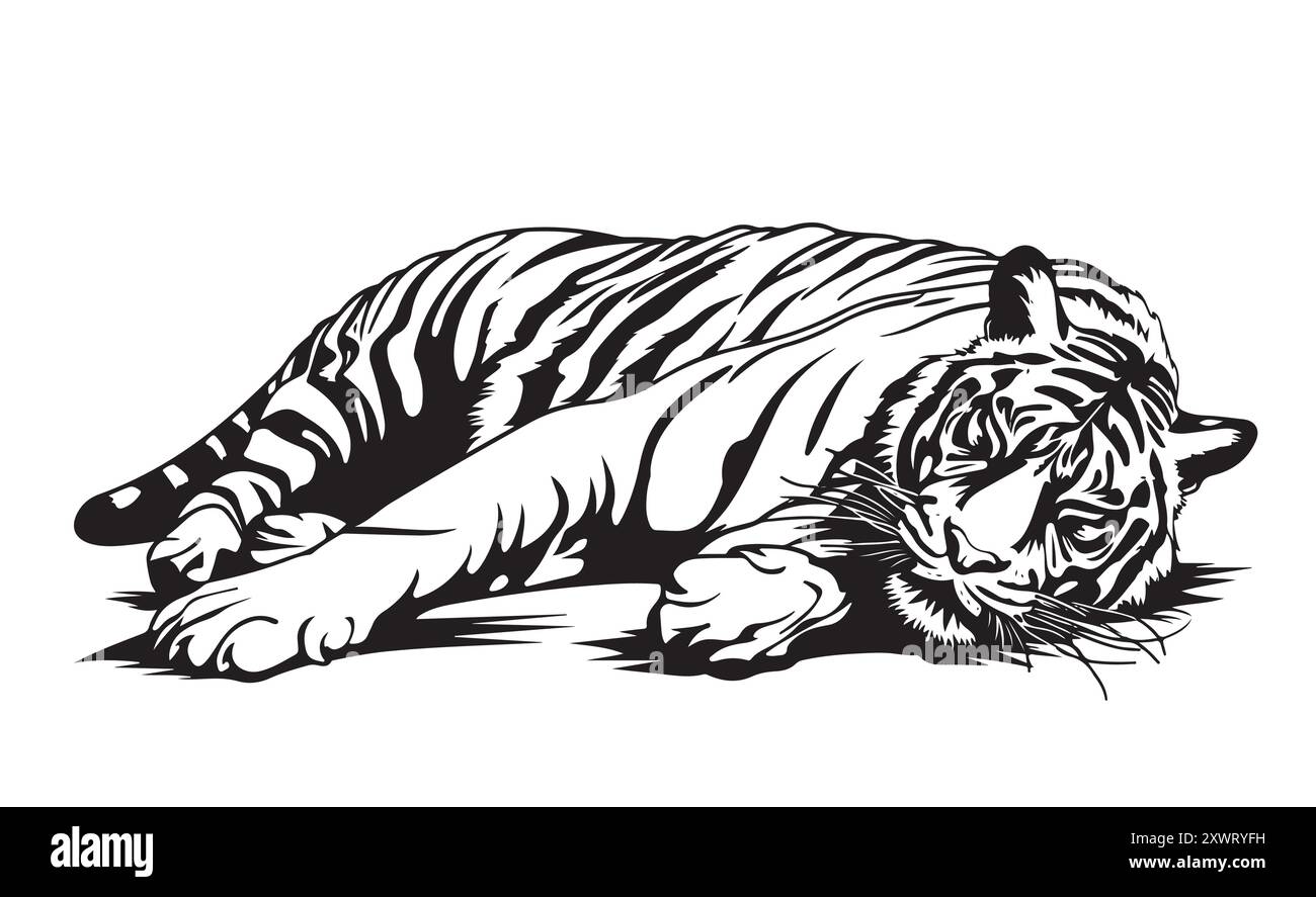 Tiger sleeping hand drawn engraving style sketch Vector illustration ...