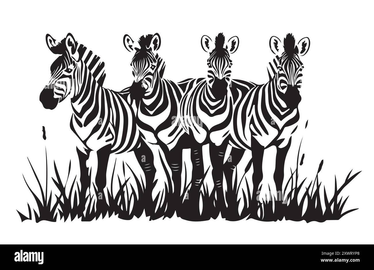 zebras black and white vector illustration Wild animals Stock Vector Image & Art - Alamy