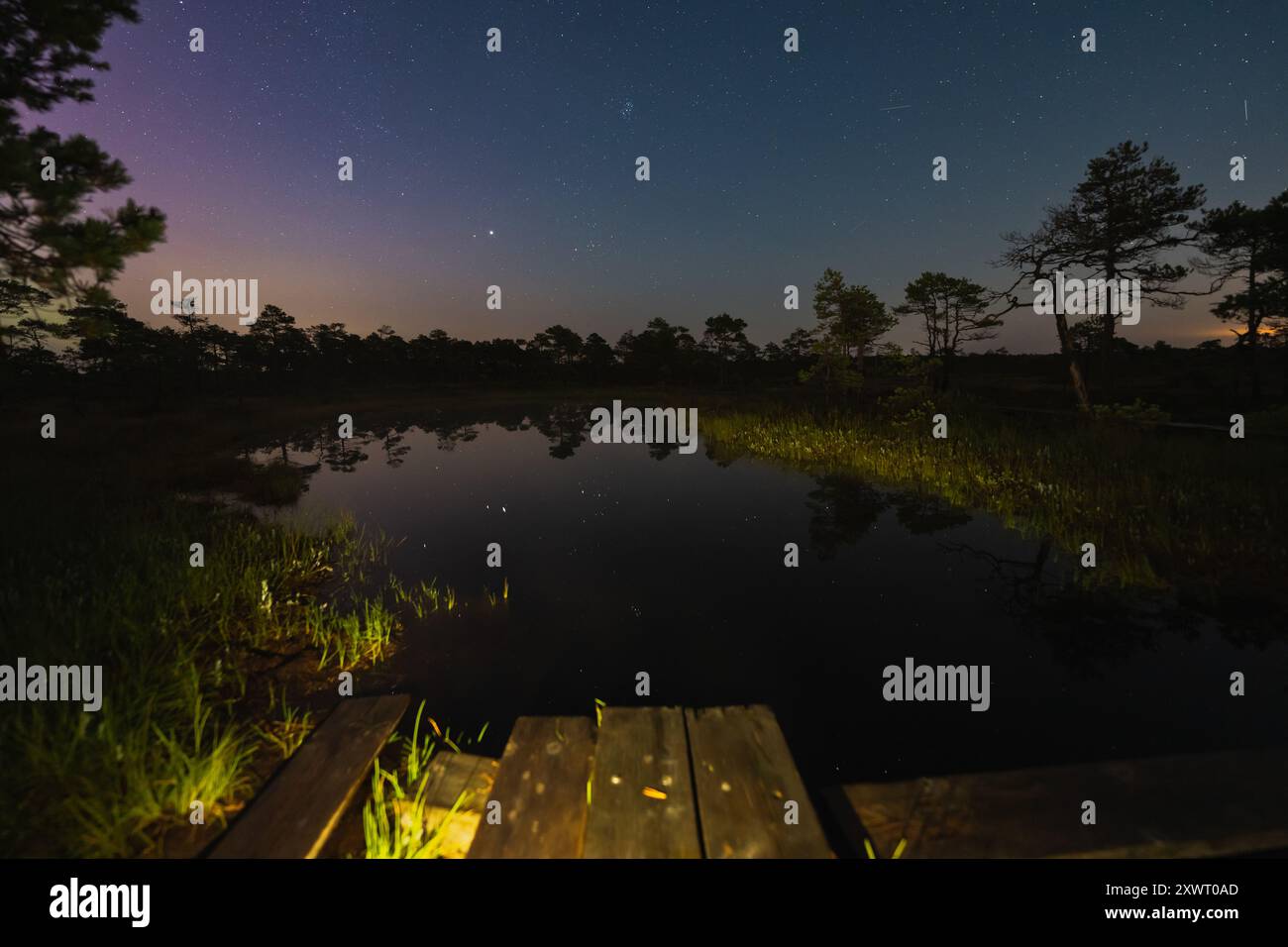 Northern lights and starry sky over a small forest lake in the swamp ...