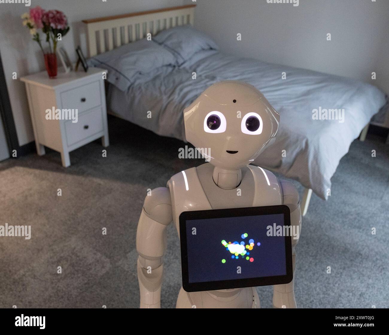 Robots in the LARA lab for research into robotics for assistive living ...