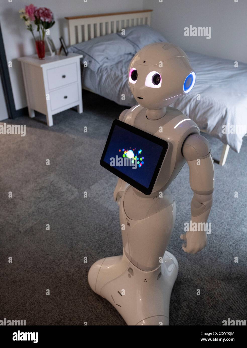 Robots in the LARA lab for research into robotics for assistive living ...