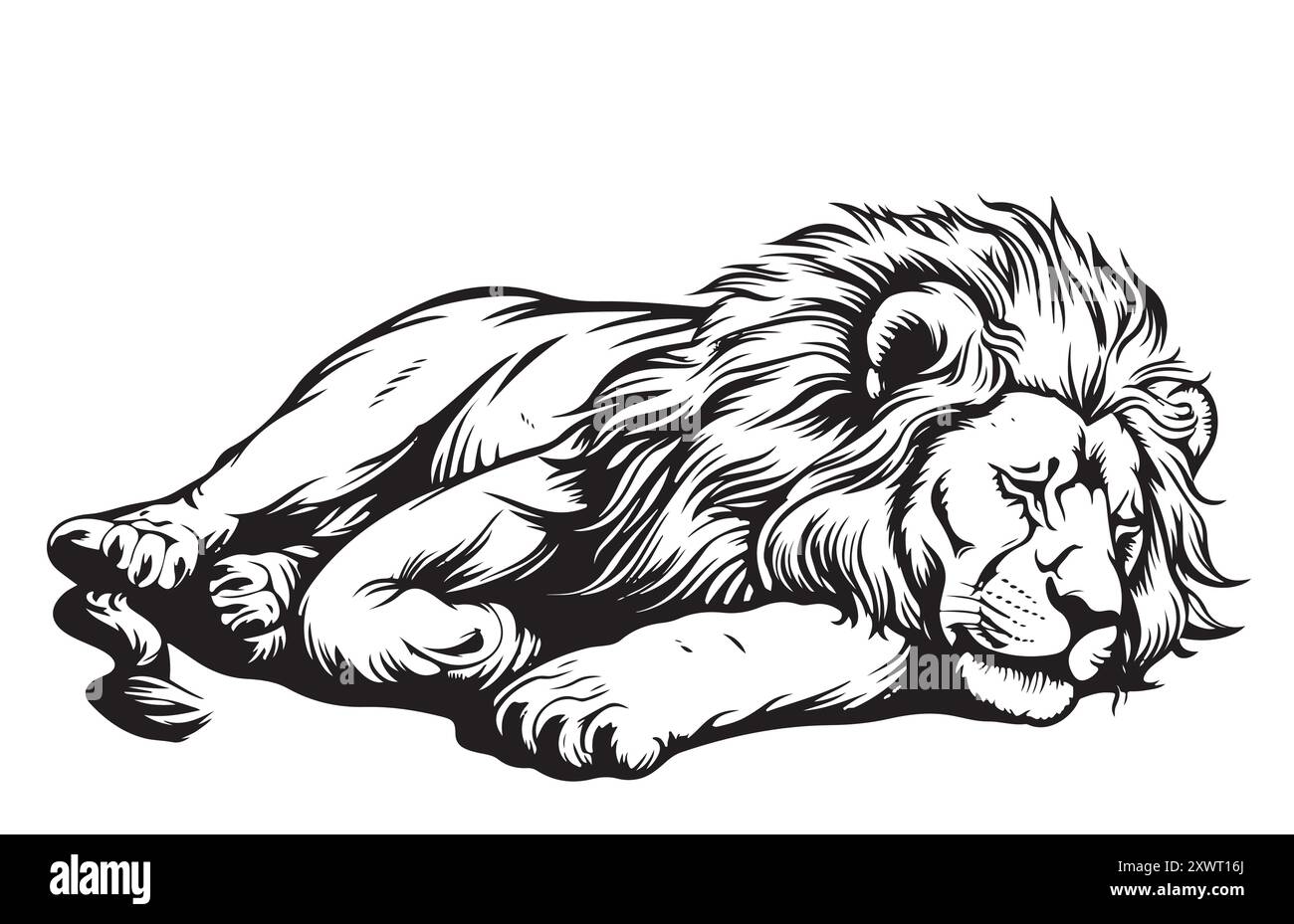 Sleeping lion drawing hi-res stock photography and images - Alamy