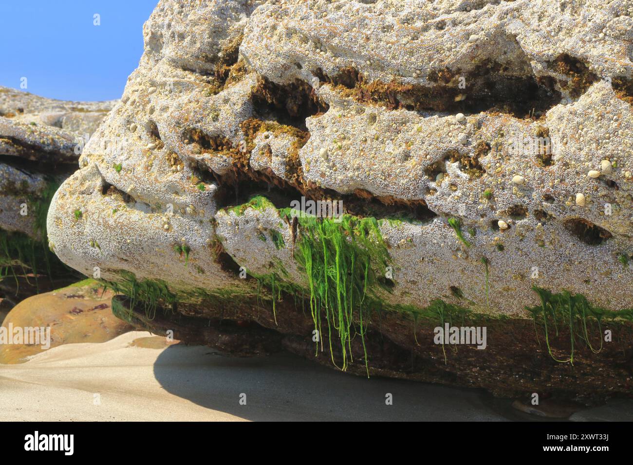 Peadie hi-res stock photography and images - Alamy