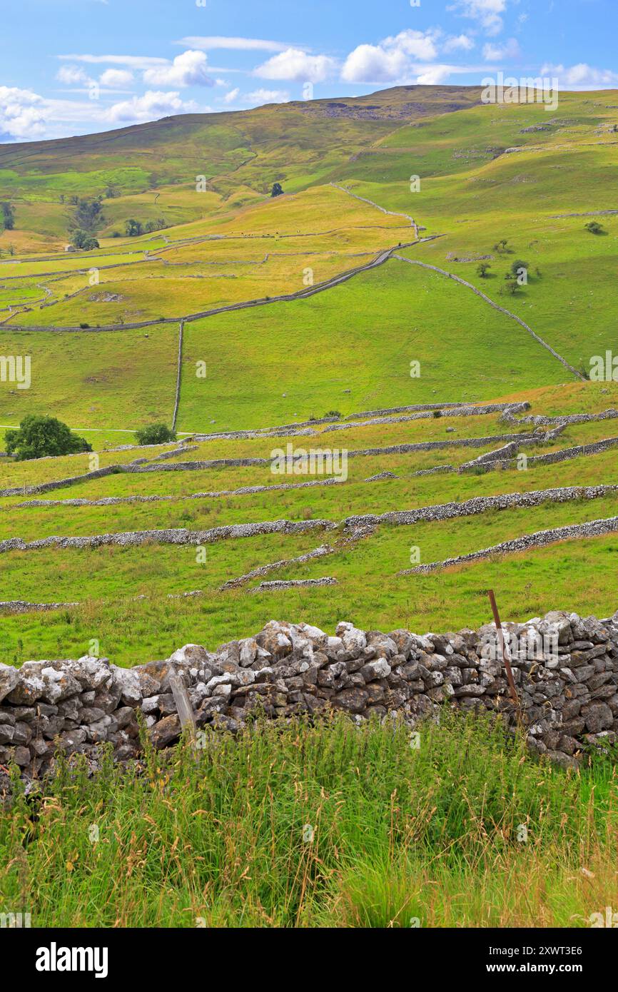 Ancient field system above Malham, Yorkshire Dales National Park, North ...