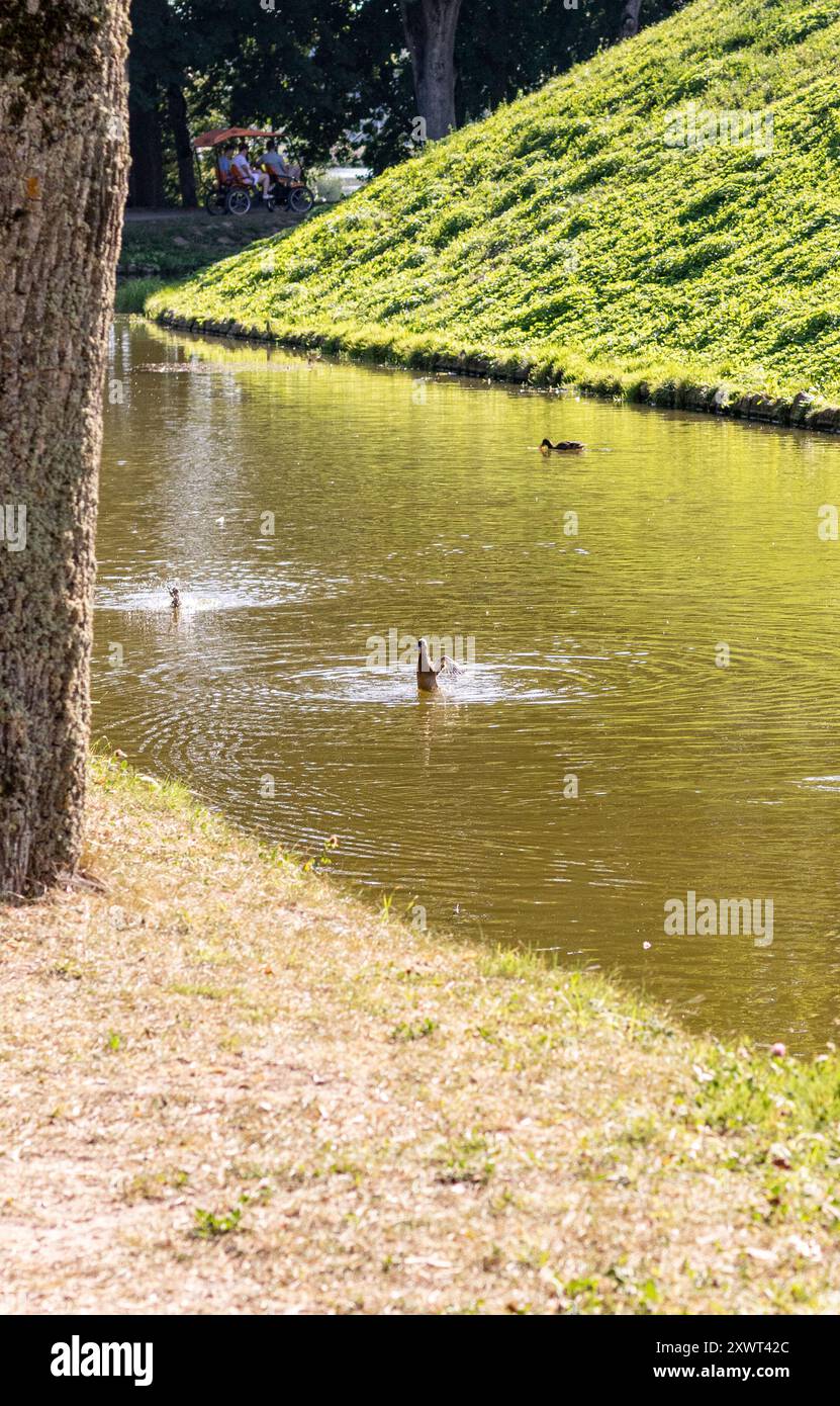 Beautiful nature shot amazing landscape hi-res stock photography and ...