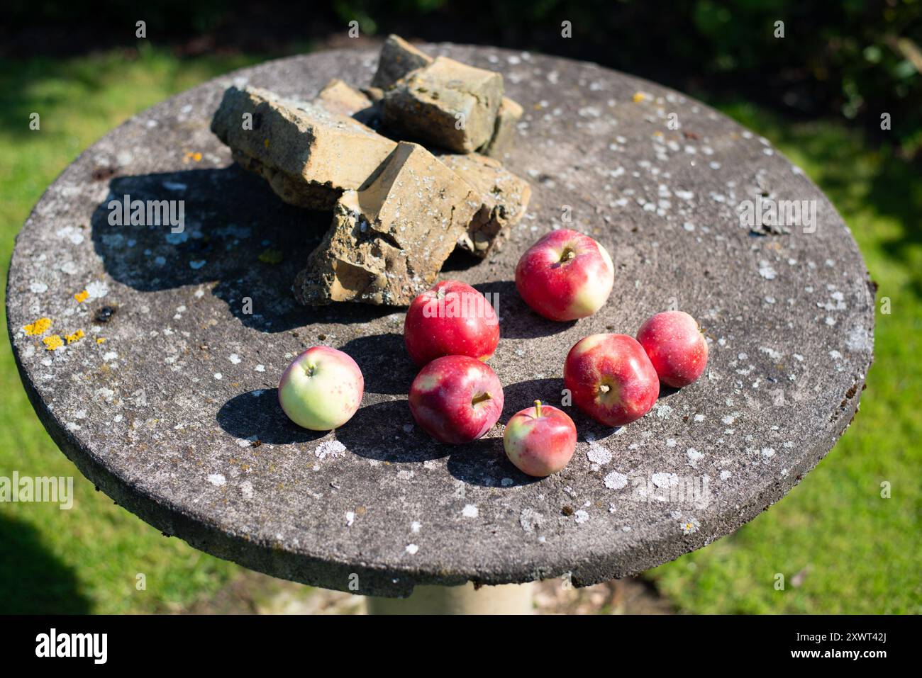 Contrast between objects and background hi-res stock photography and ...