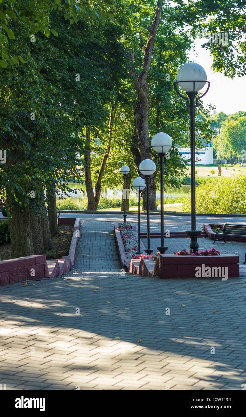 Beautiful shot nature summer park hi-res stock photography and images ...