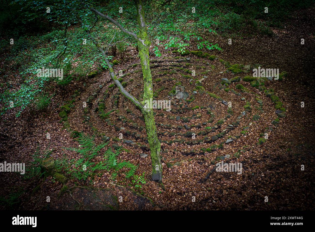 Setting evokes hi-res stock photography and images - Alamy