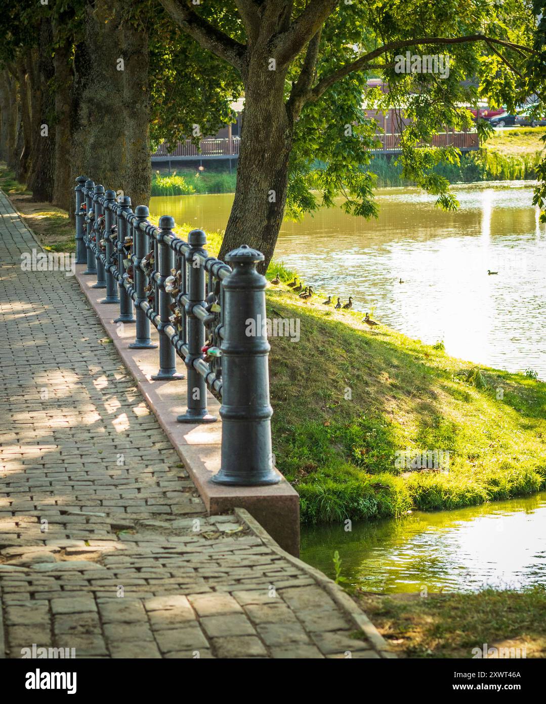 Beautiful shot nature summer park hi-res stock photography and images ...